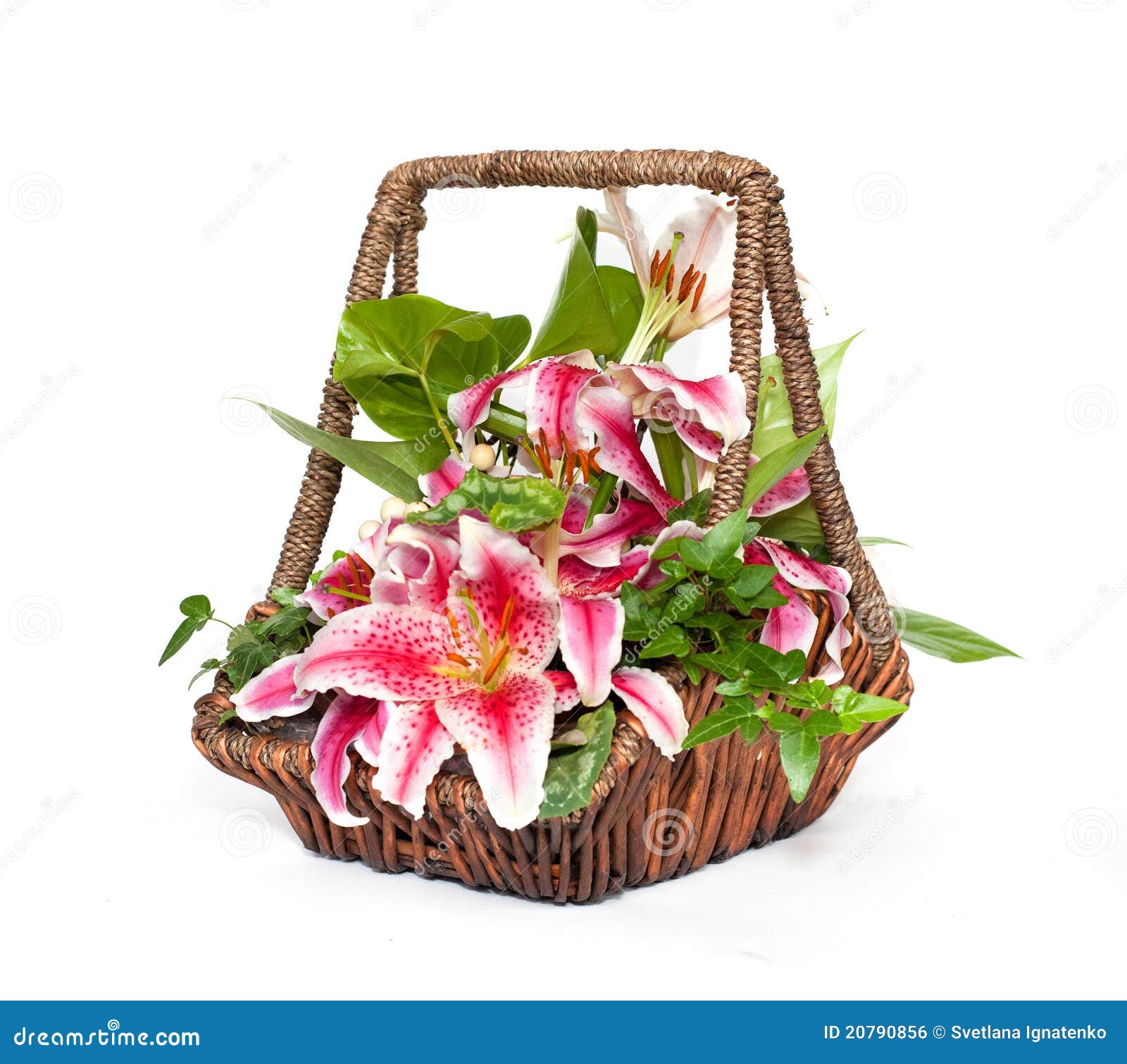 Flower Composition in Basket Stock Photo - Image of lily, multicolored ...