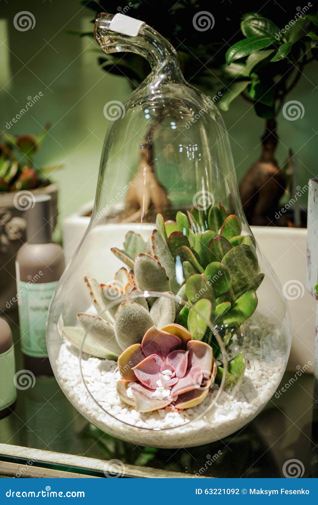 Flower Composition Decoration in Vase Stock Photo - Image of elegant ...