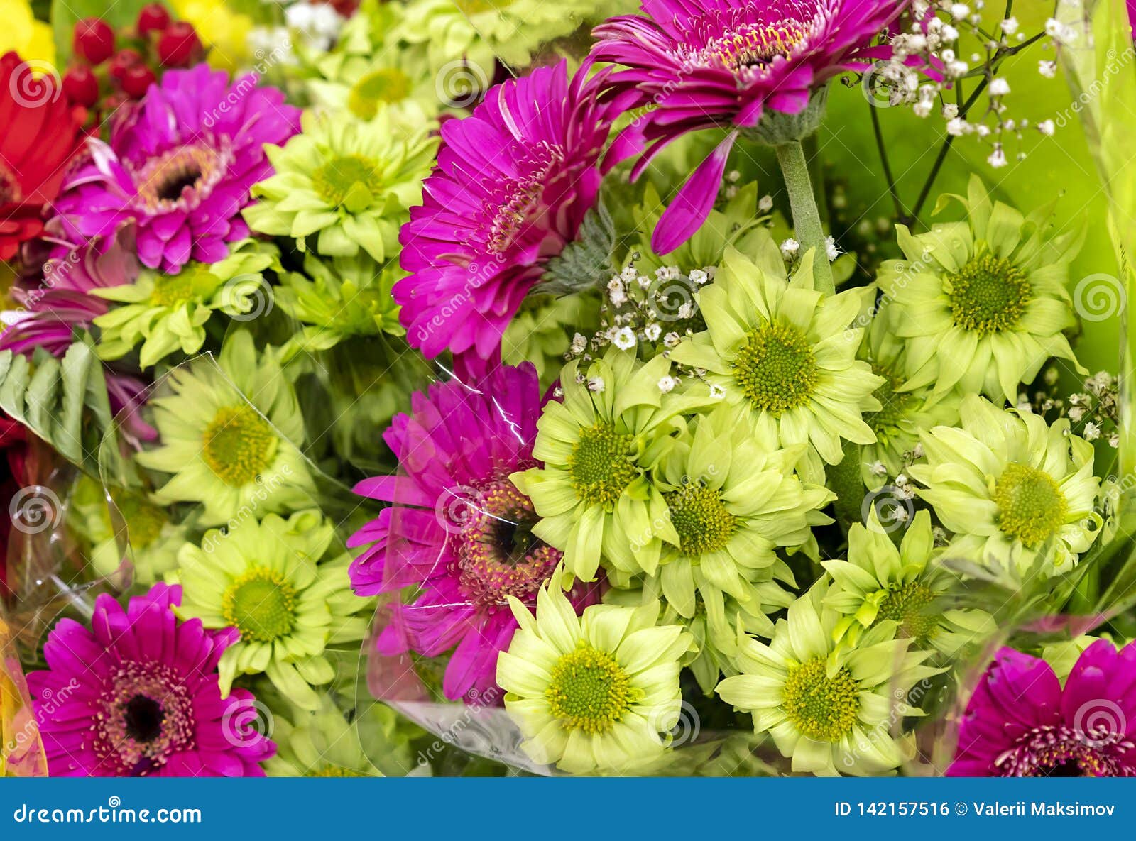 Flower Composition from Different Types of Flowers Stock Photo - Image ...