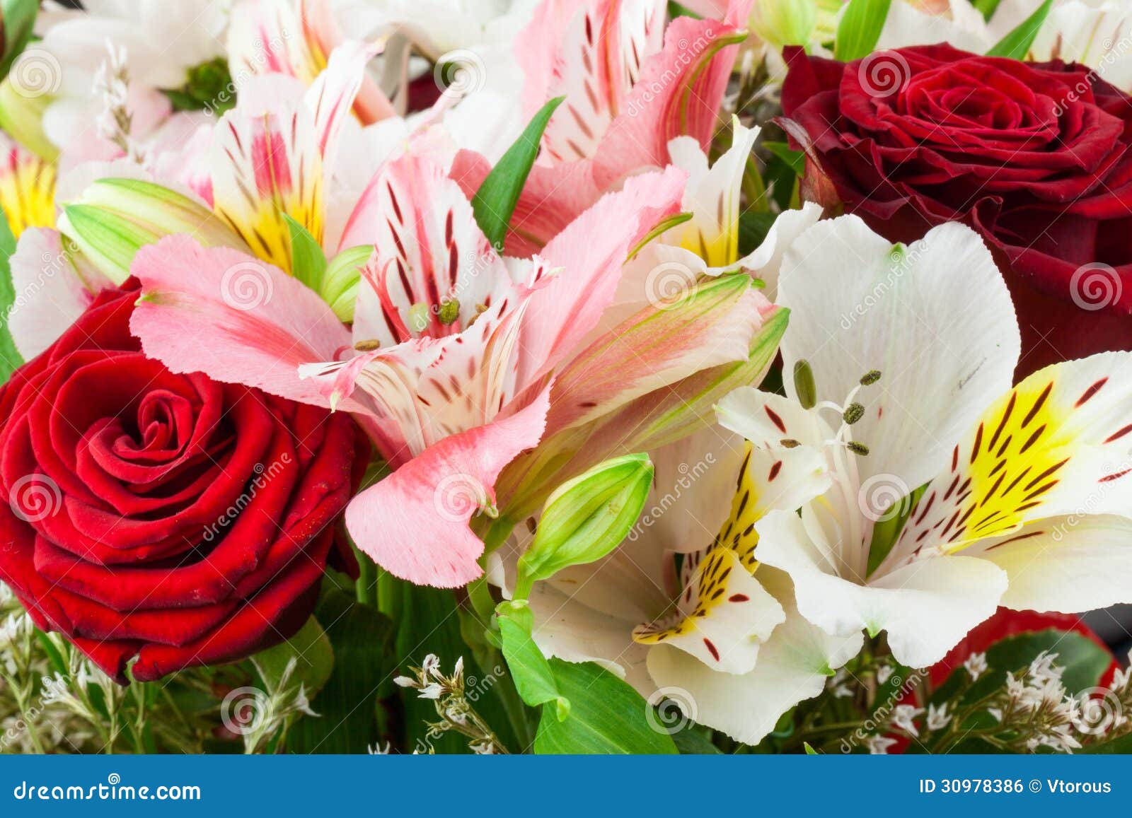 Flower composition stock photo. Image of plants, leaf - 30978386