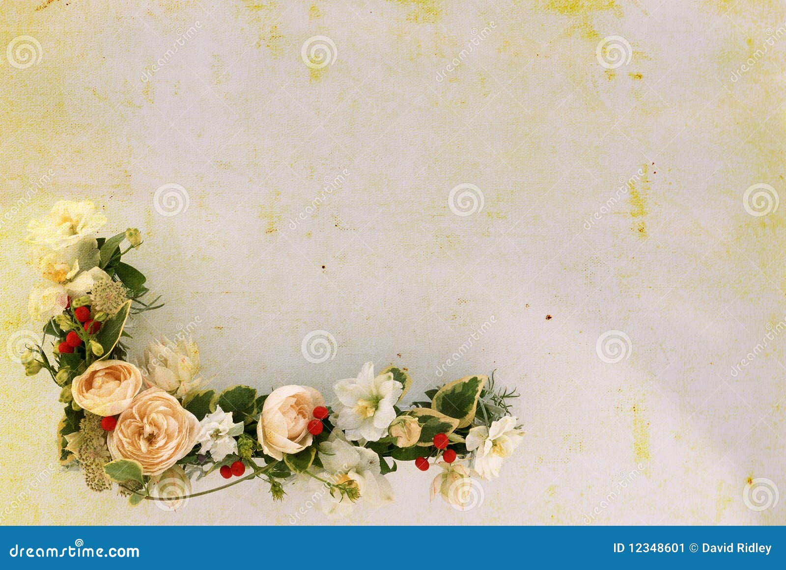 Flower on a Cream Textured Background Stock Illustration - Illustration ...