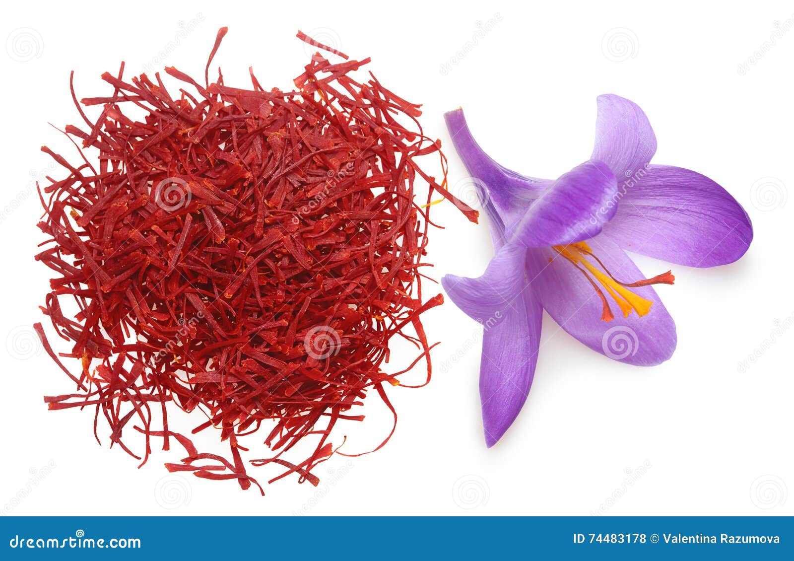 Dried Saffron Spice Royalty-Free Stock Photography | CartoonDealer.com ...