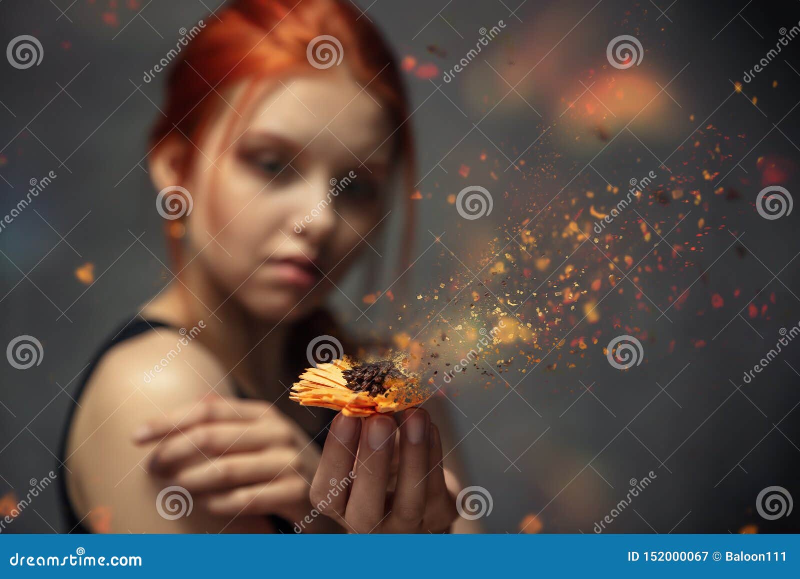 Flower Crumbling in the Hands of a Red-haired Girl Stock Image - Image ...
