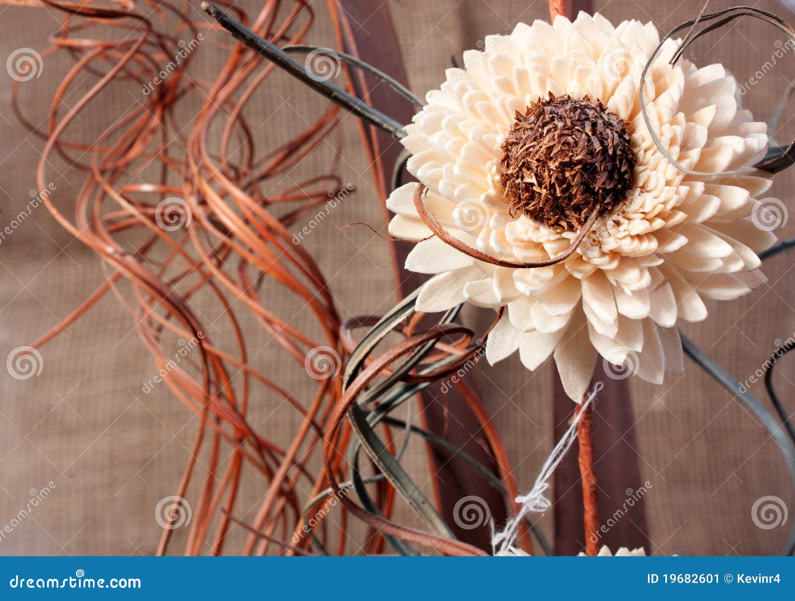 A Flower & curles stock image. Image of abstract - 19682601