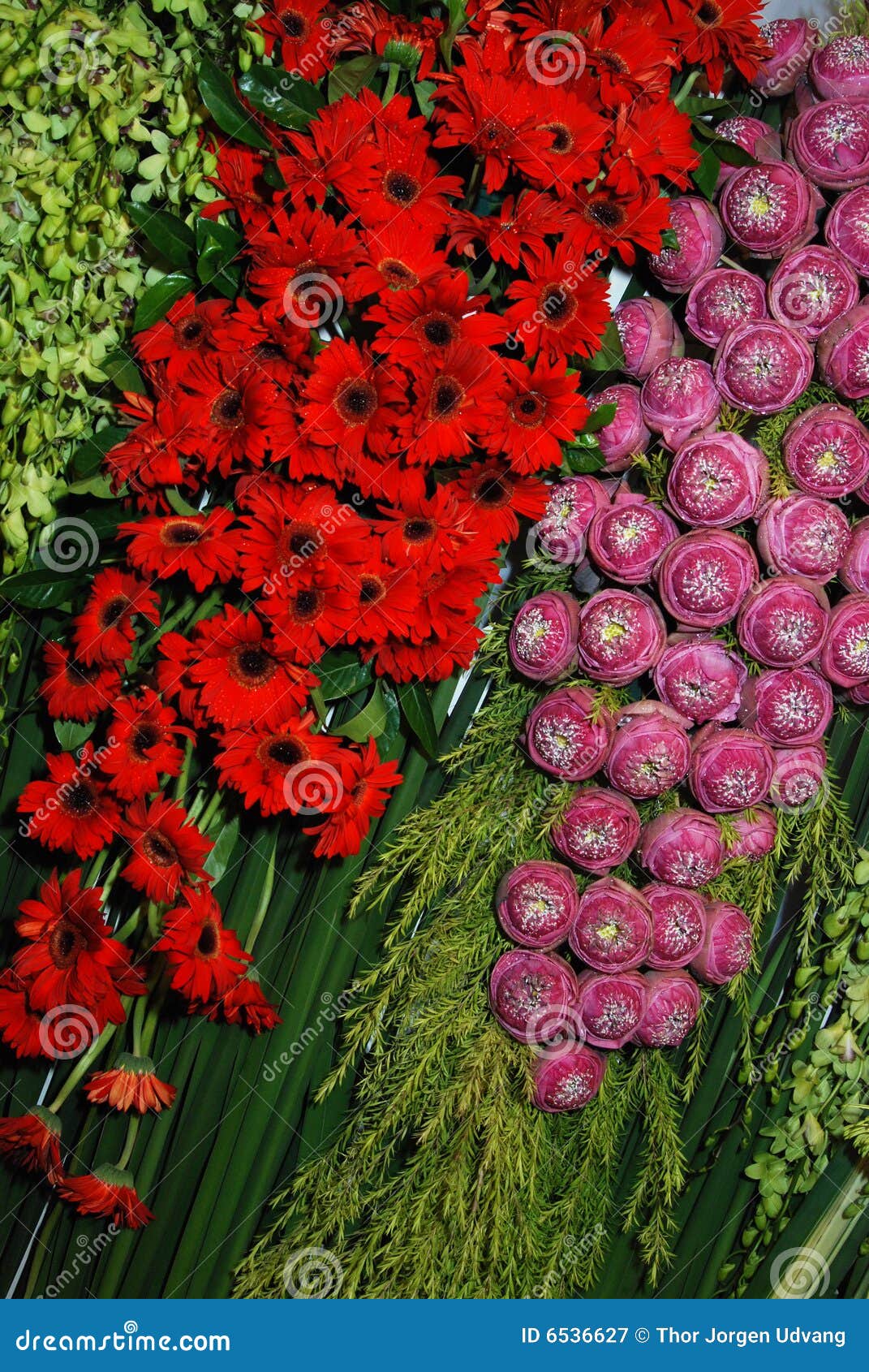 Flower decoration stock image. Image of green, celebration - 6536627