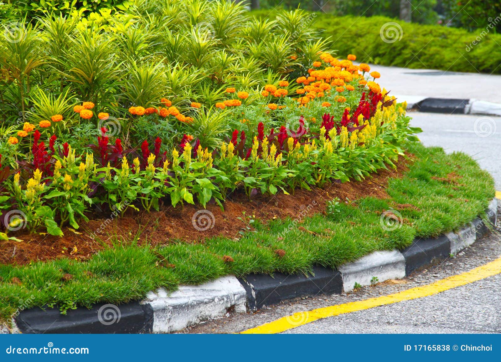 Flower Decoration Along Road Curb Stock Photo - Image of grass, flores ...