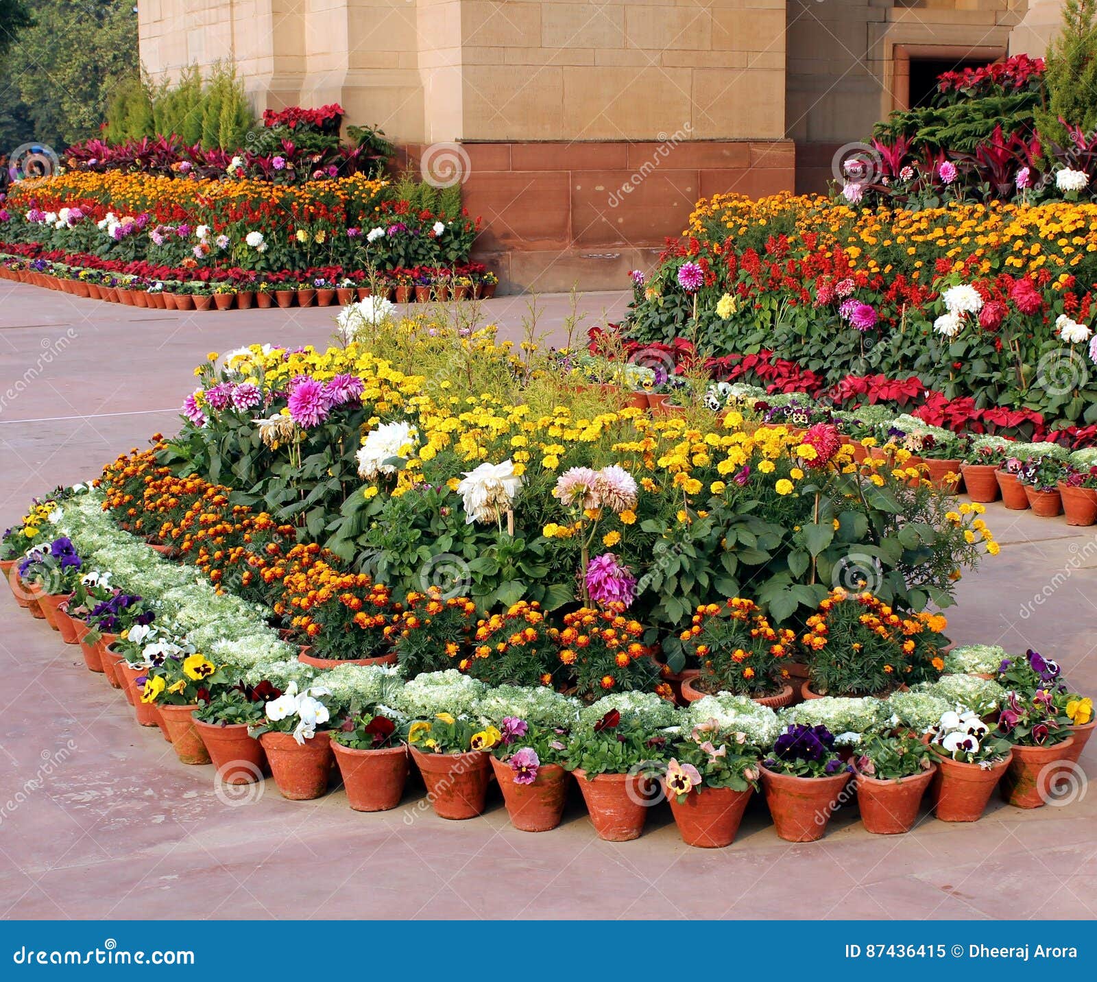 Flower Decoration, India Gate, New Delhi Stock Image - Image of spring ...