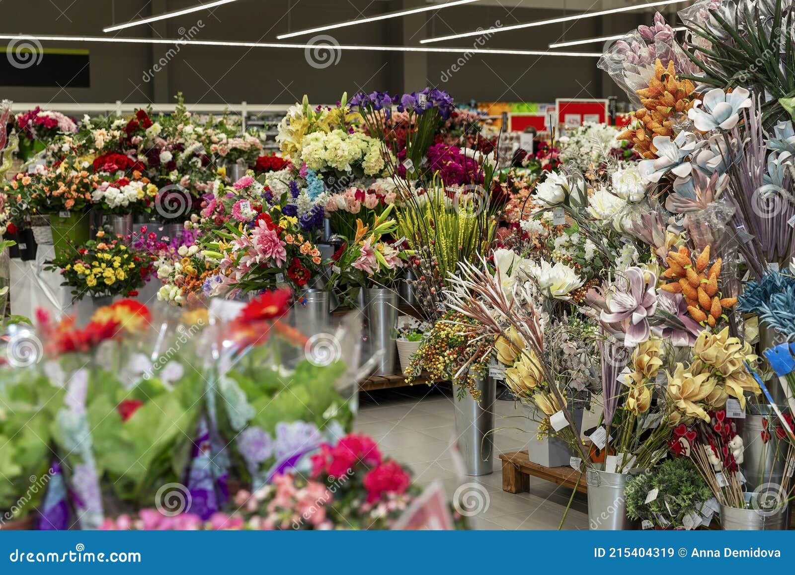 1,412 Plants Mall Photos - Free & Royalty-Free Stock Photos from Dreamstime