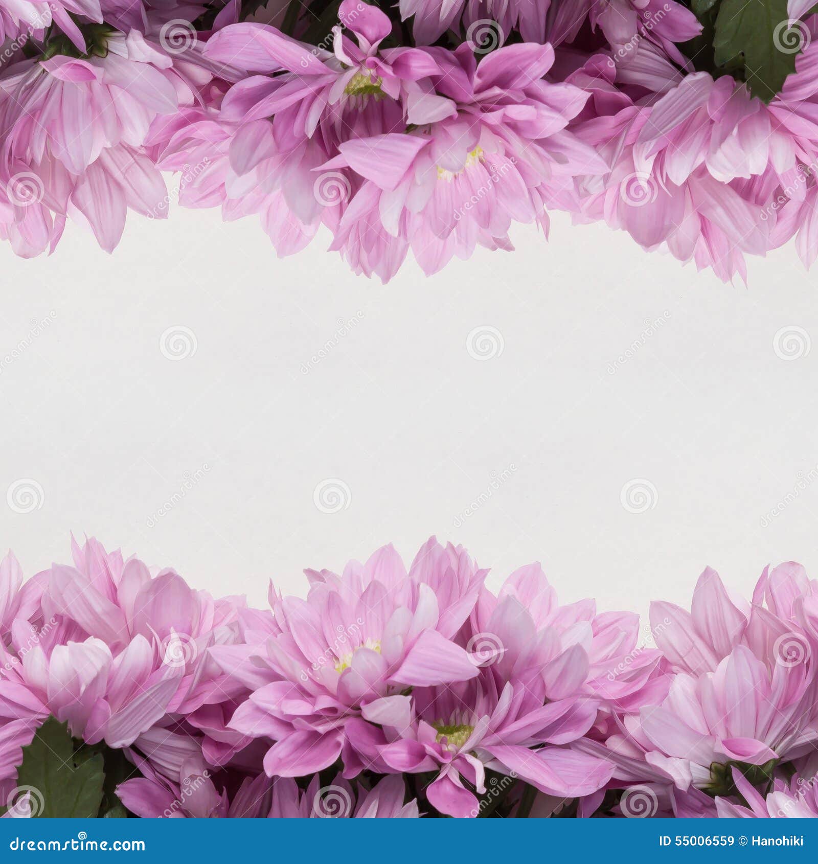 Pink Flower Themes