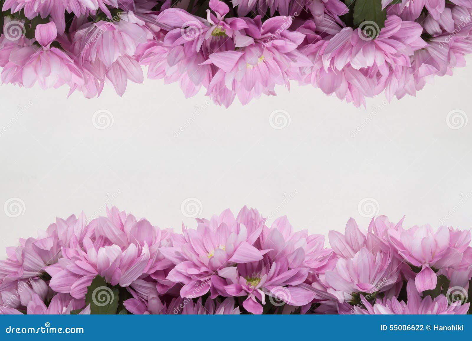 Pink Flower Themes