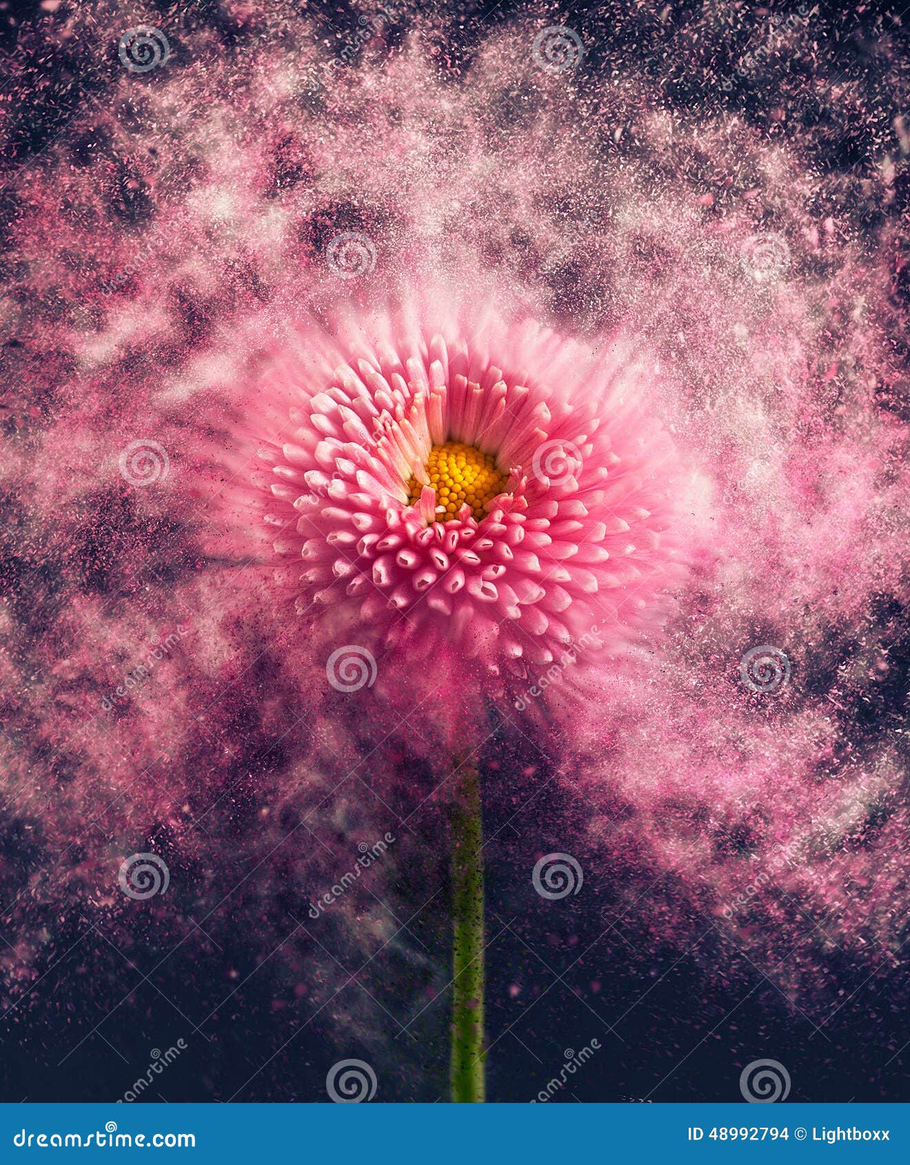 Dissolve Clipart Of Flowers