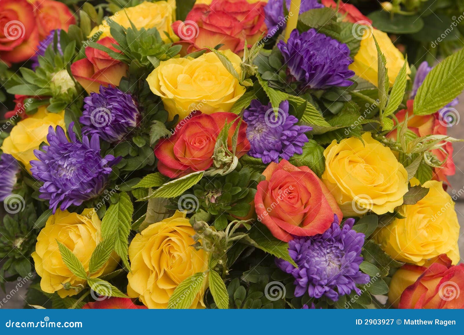 Flower Display stock image. Image of yellow, bright, bouquet - 2903927