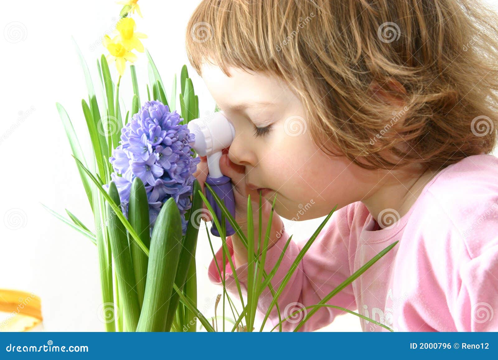 Flower doctor stock photo. Image of girls, doctor, flowers - 2000796