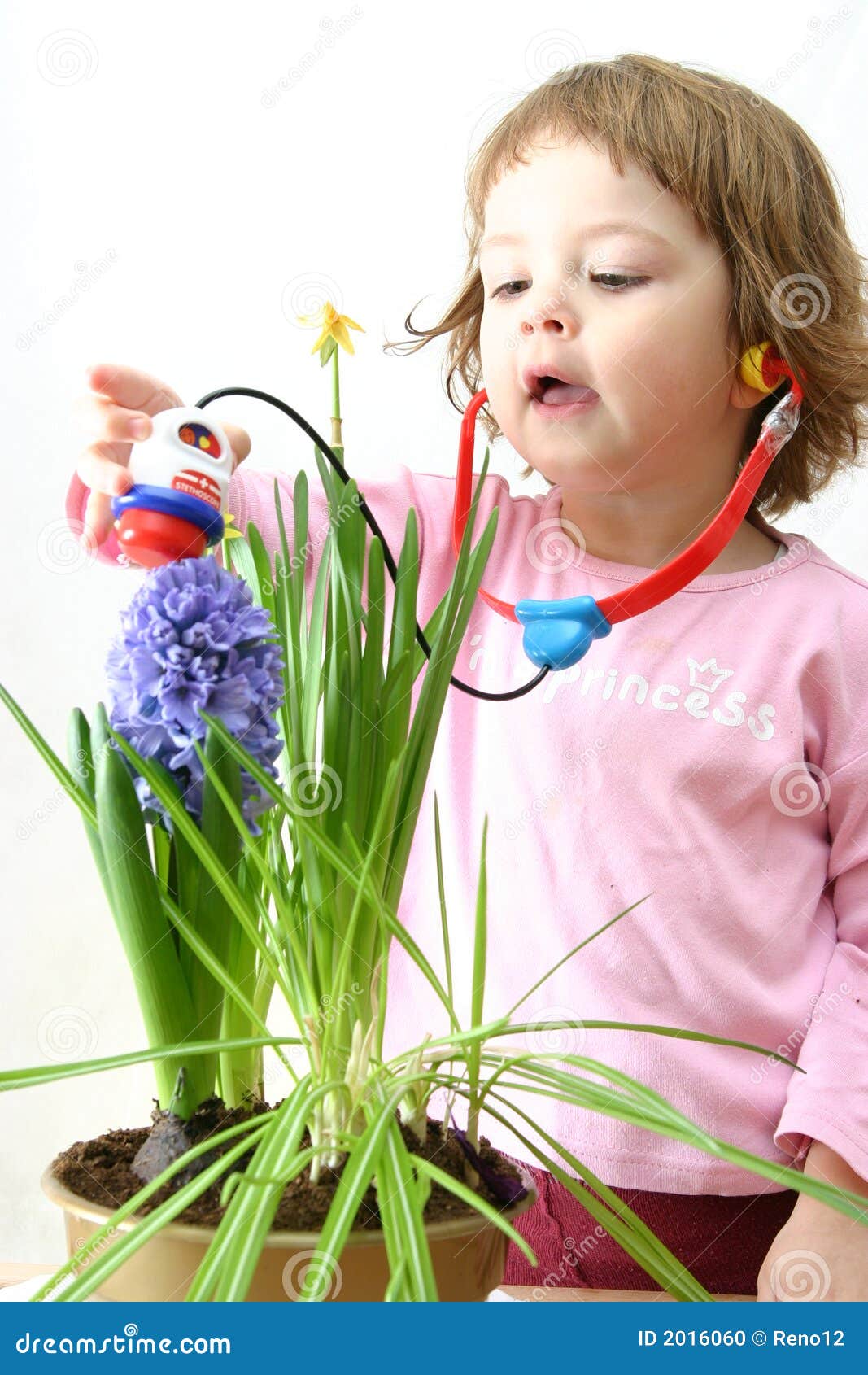 Flower doctor stock photo. Image of child, daffodils, isolated - 2016060