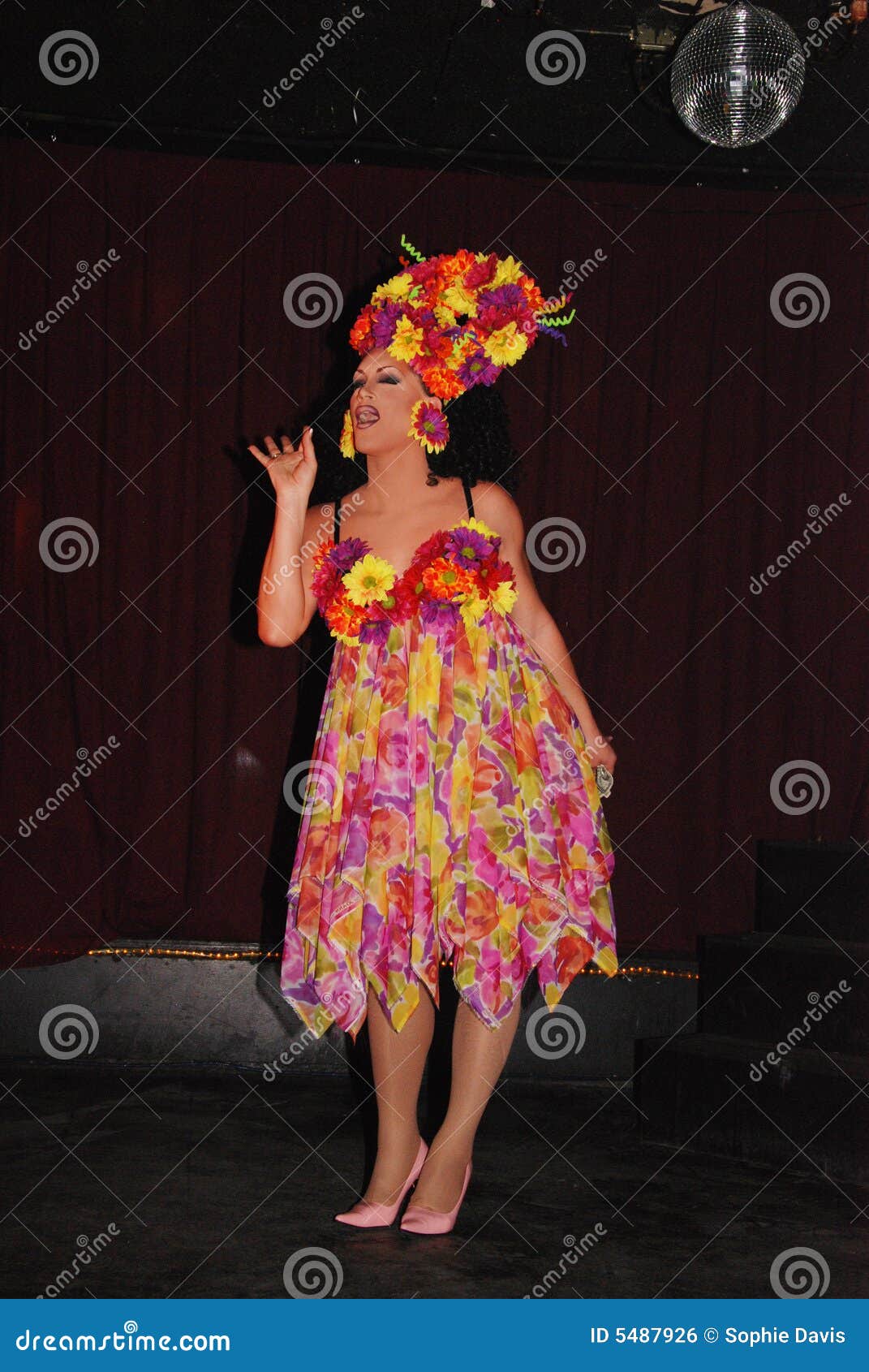 Flower Drag queen. stock photo. Image of drag, club, cosmetic - 5487926