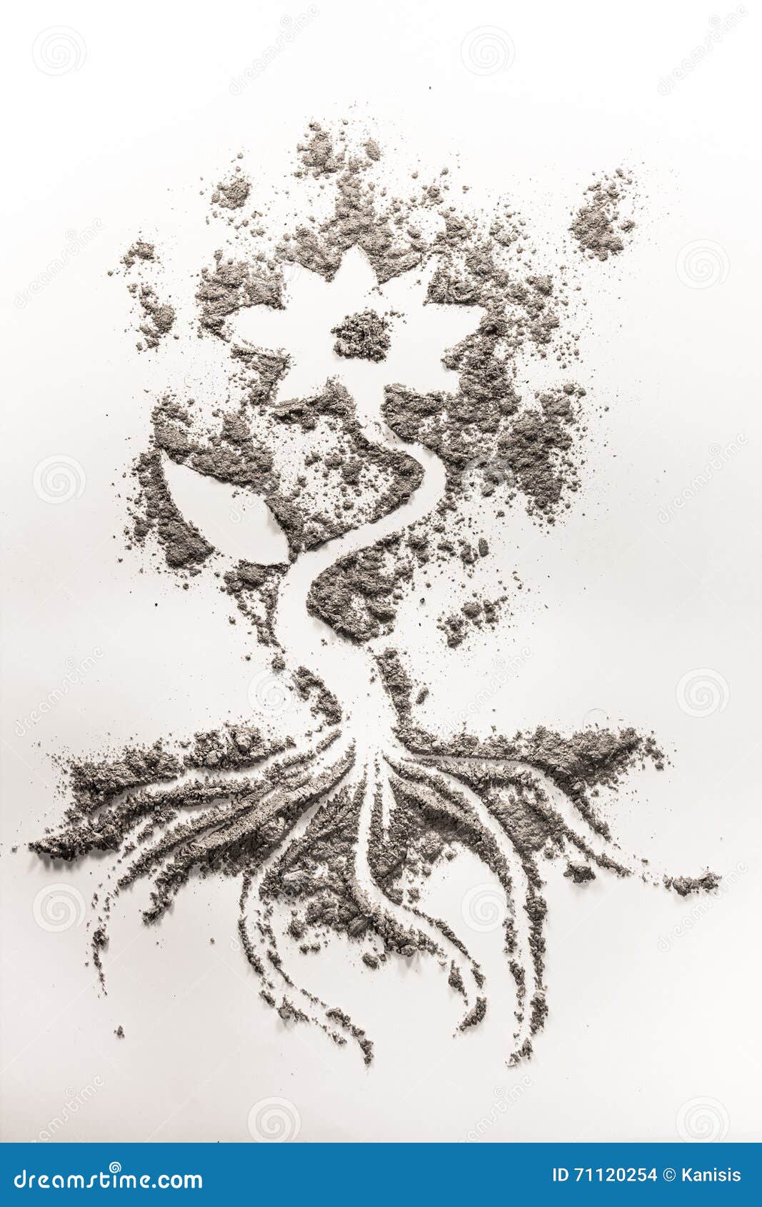 Flower Drawing Made in Sand, Ash, Dust, Dirt Stock Illustration ...