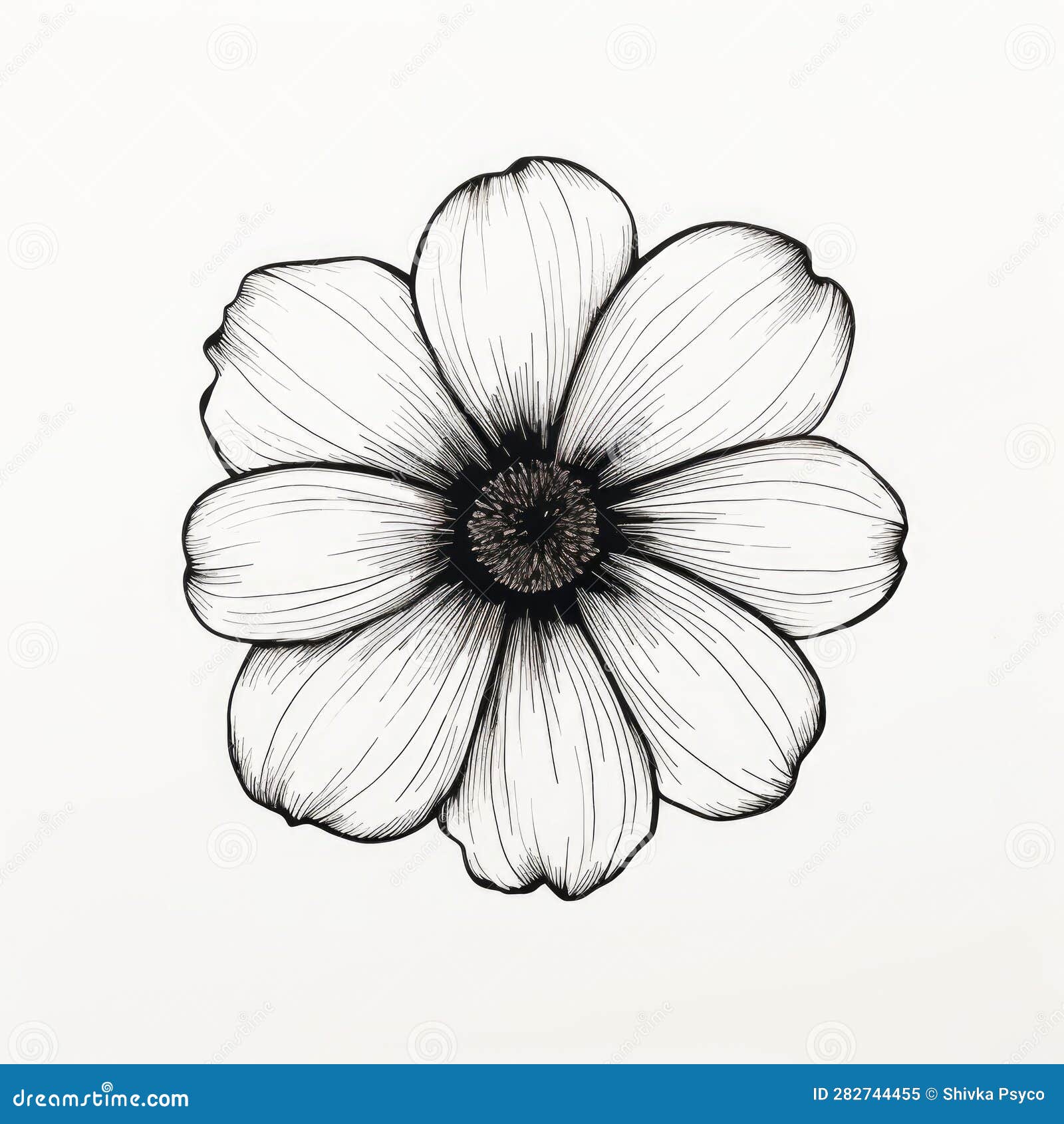 Flower Drawing on White Background Image Stock Illustration ...