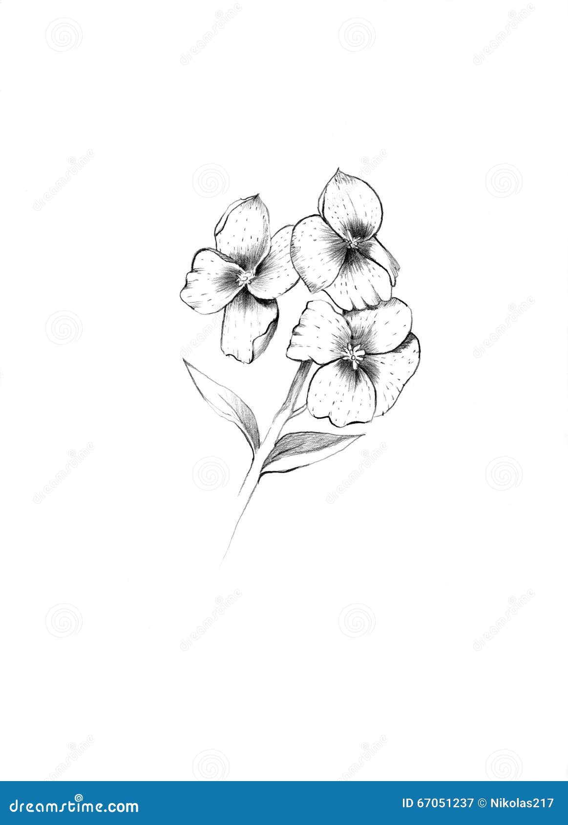 Wallflower Cartoons, Illustrations & Vector Stock Images - 260 Pictures ...