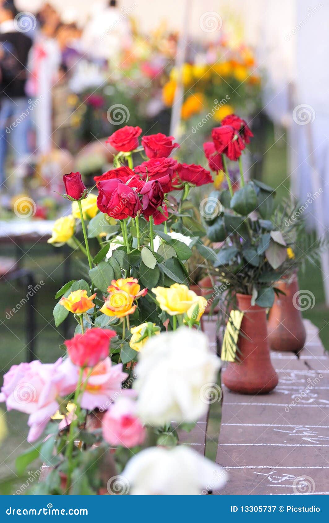 Flower exhibition stock image. Image of bloom, leaf, nature - 13305737