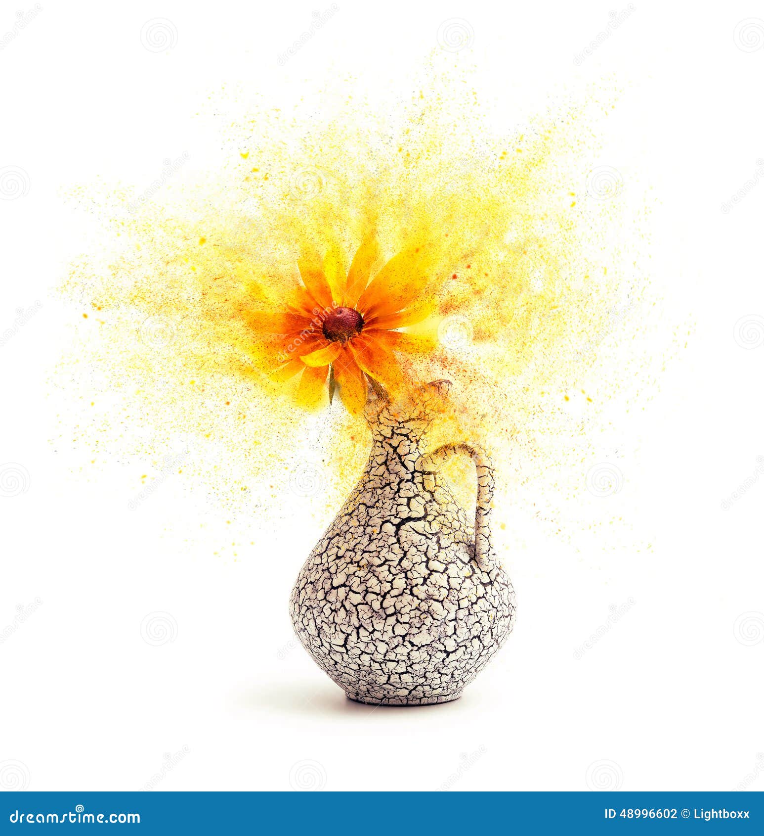 Flower - exploding stock photo. Image of nature, garden - 48996602