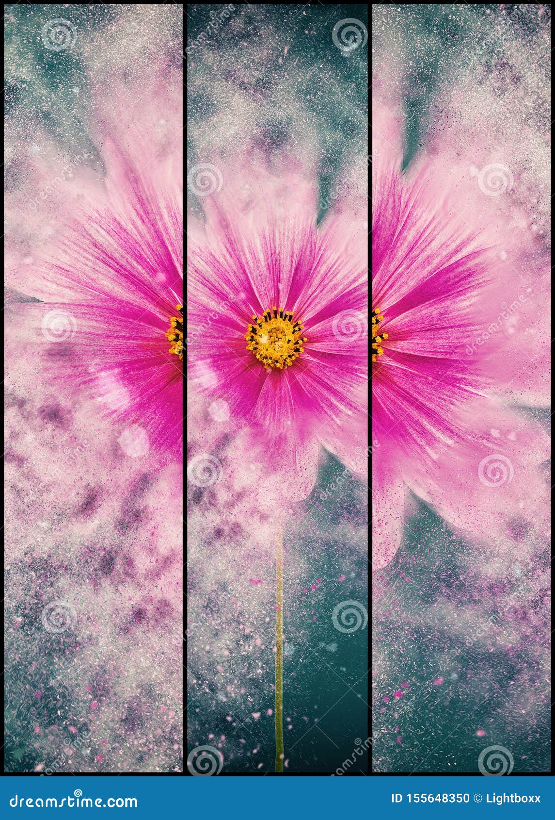 Flower - Exploding Royalty-Free Stock Image | CartoonDealer.com #61237012