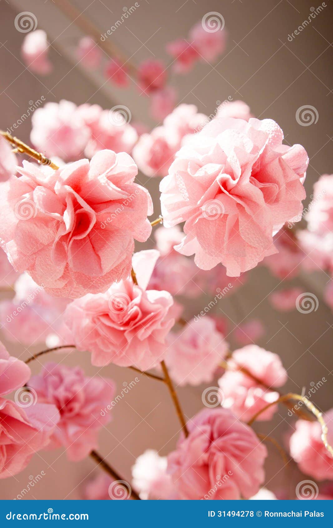 Flower of facial tissue stock photo. Image of pink, flower - 31494278