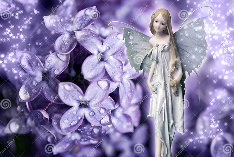 Flower fairy stock photo. Image of stars, fairy, mystical - 9336278