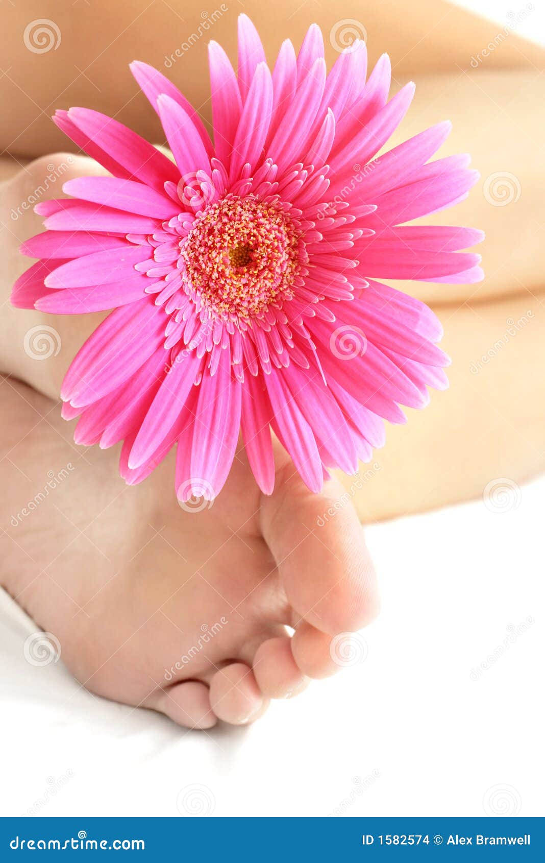 Flower and Feet stock photo. Image of close, isolated - 1582574