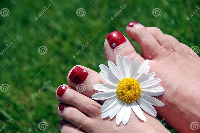Flower and feet stock photo. Image of bare, natural, polished - 2728018