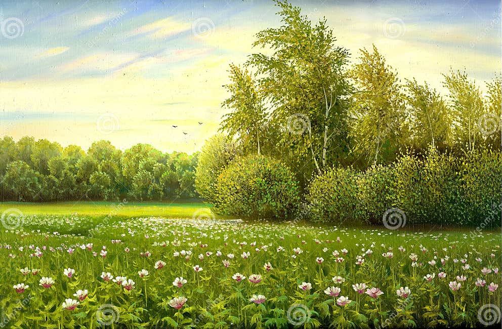 Flower field stock image. Image of imagination, paints - 11895579