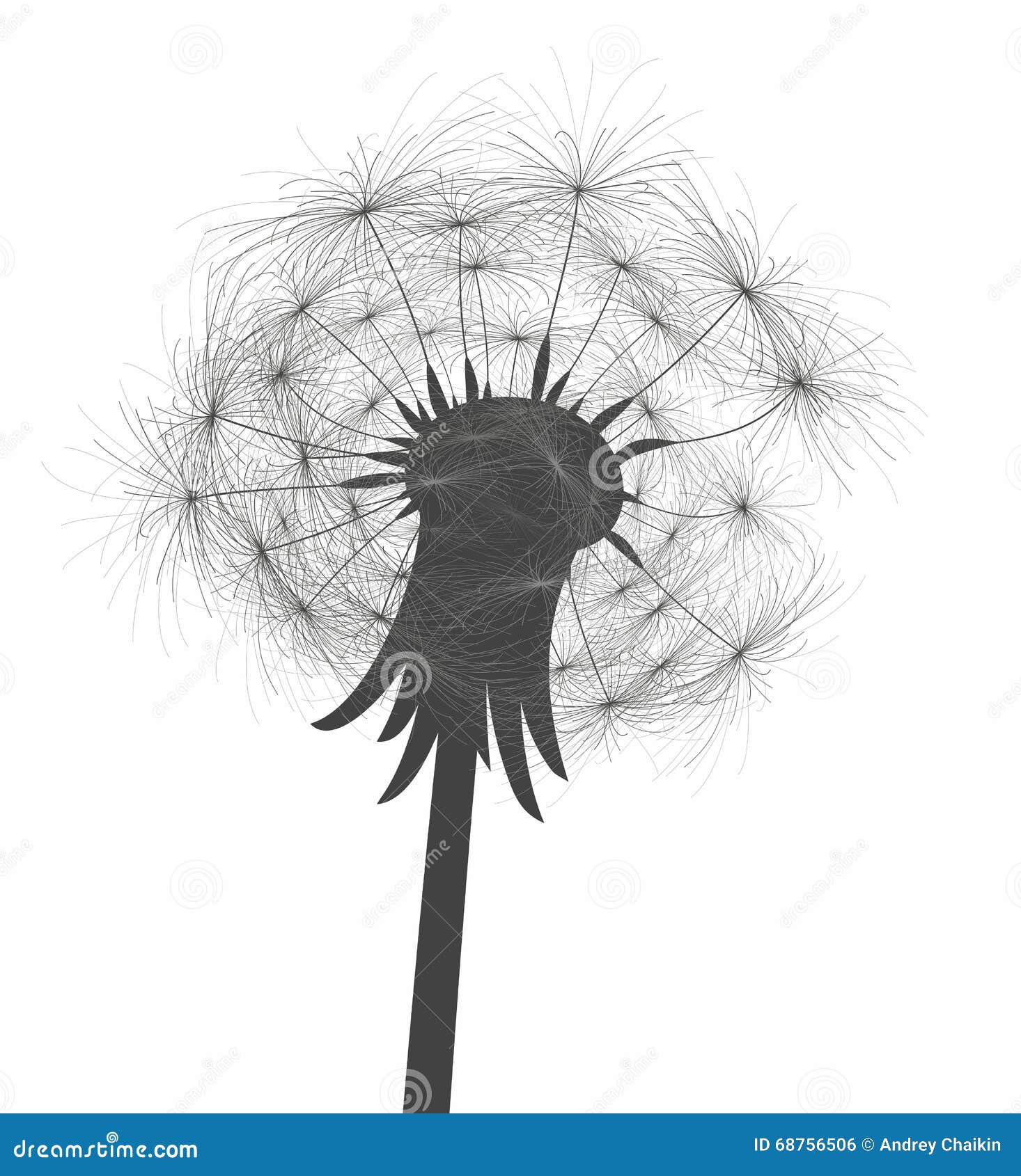 Flower of field dandelion. stock vector. Illustration of flora - 68756506