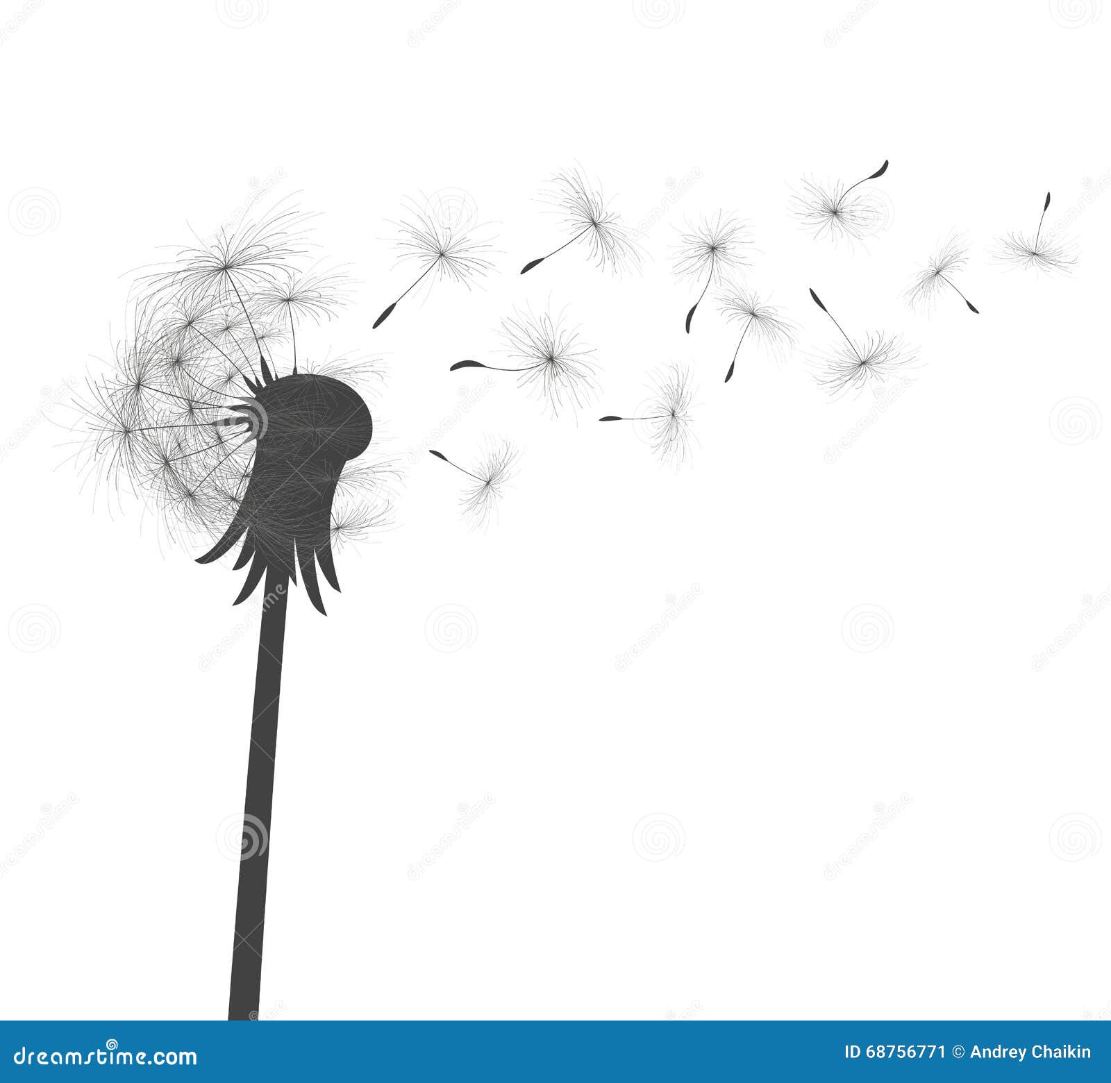 Flower of field dandelion. stock vector. Illustration of tree - 68756771