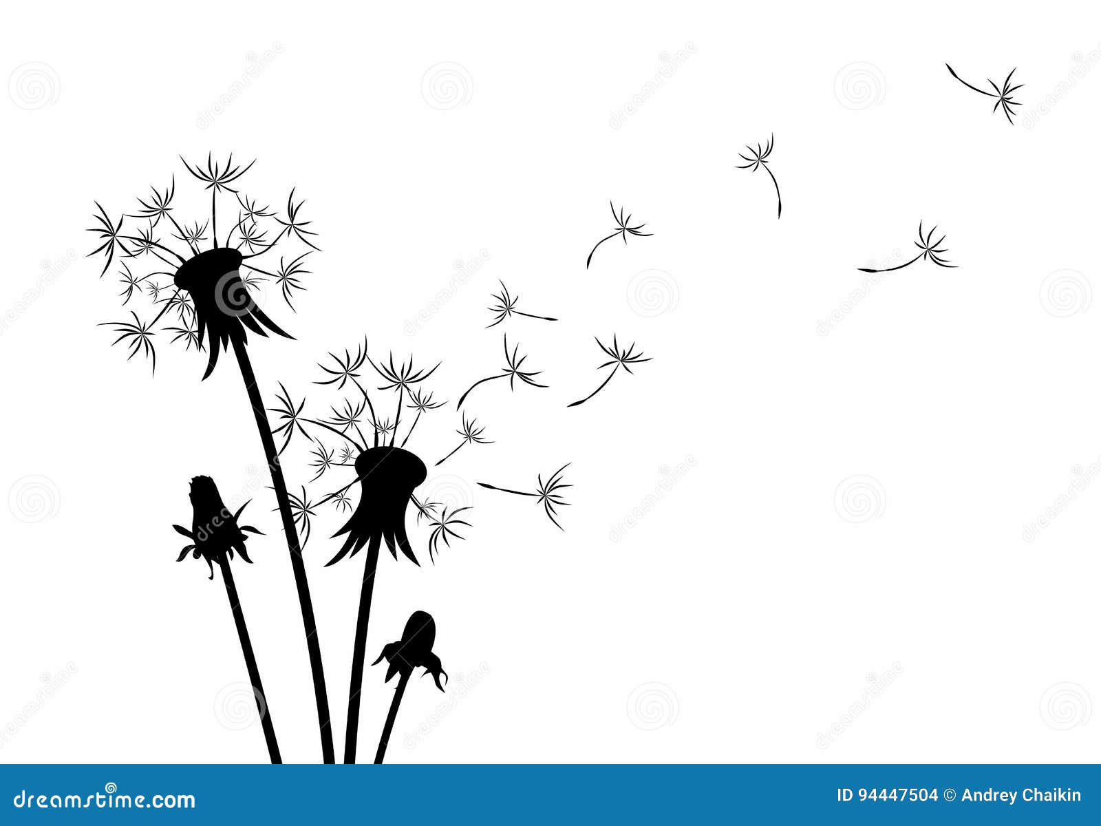 Flower of field dandelion. stock vector. Illustration of dandelion ...