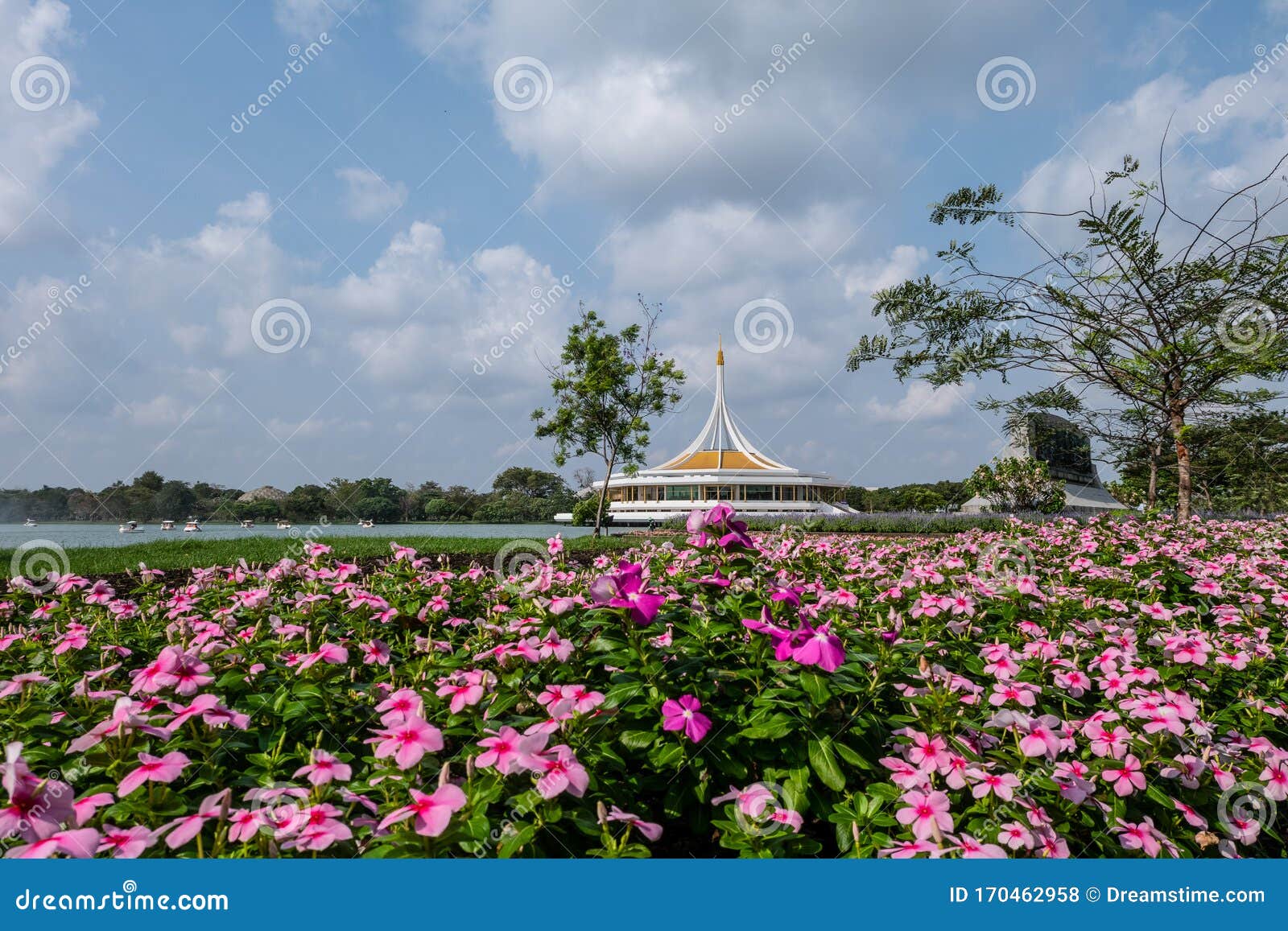 Flower Field and a Floting Convention Hall Stock Photo - Image of park ...
