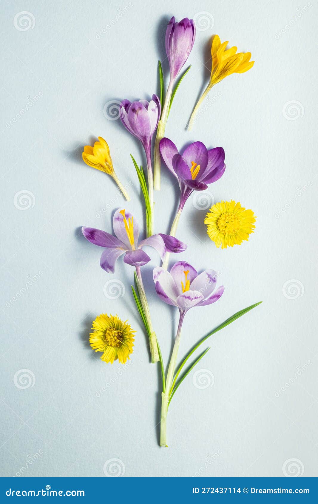 Flower Flat Lay from Different Spring Flowers. Top View and Copy Space ...