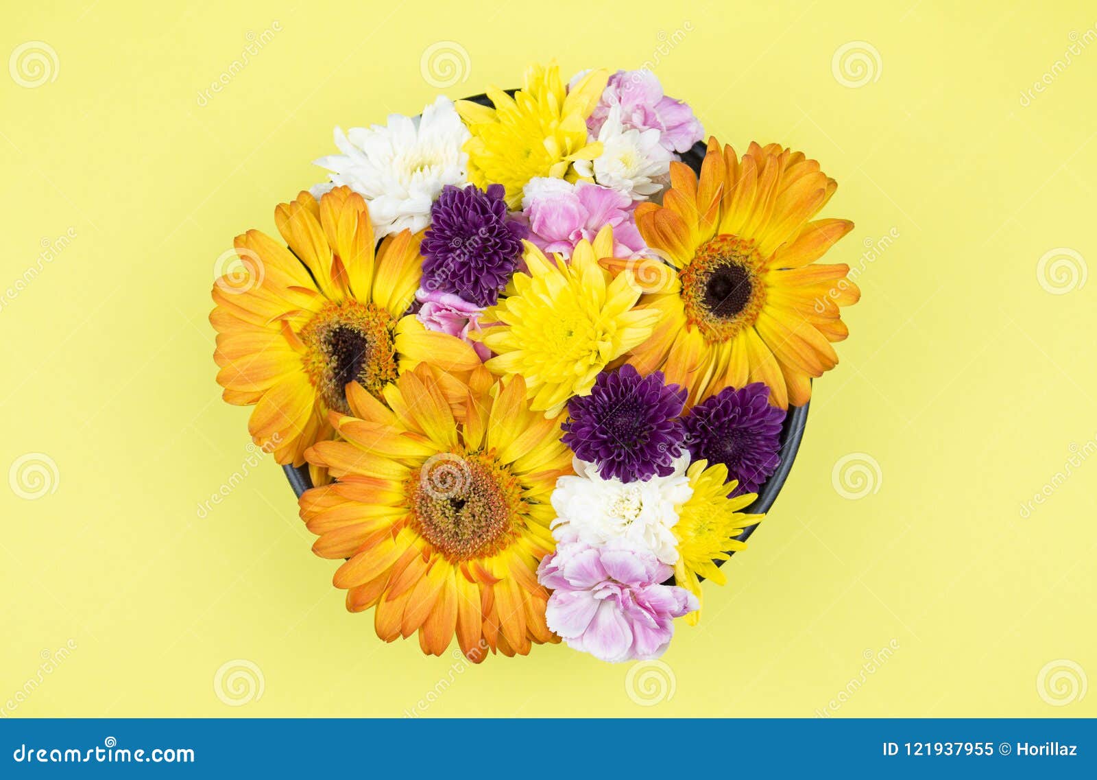 Flower flat lay stock image. Image of flat, floral, fashionable - 121937955
