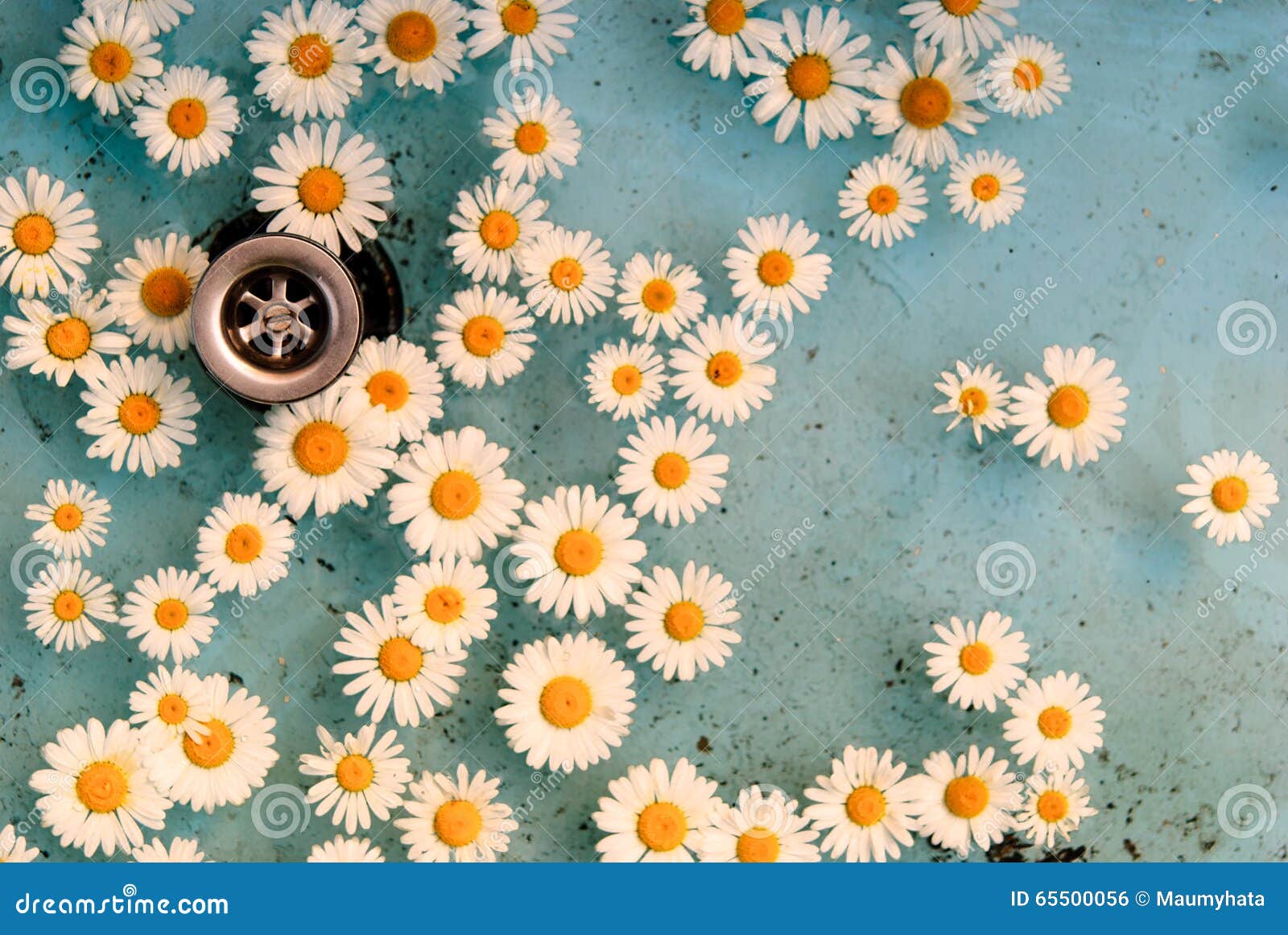 Flower floating in water stock photo. Image of white - 65500056