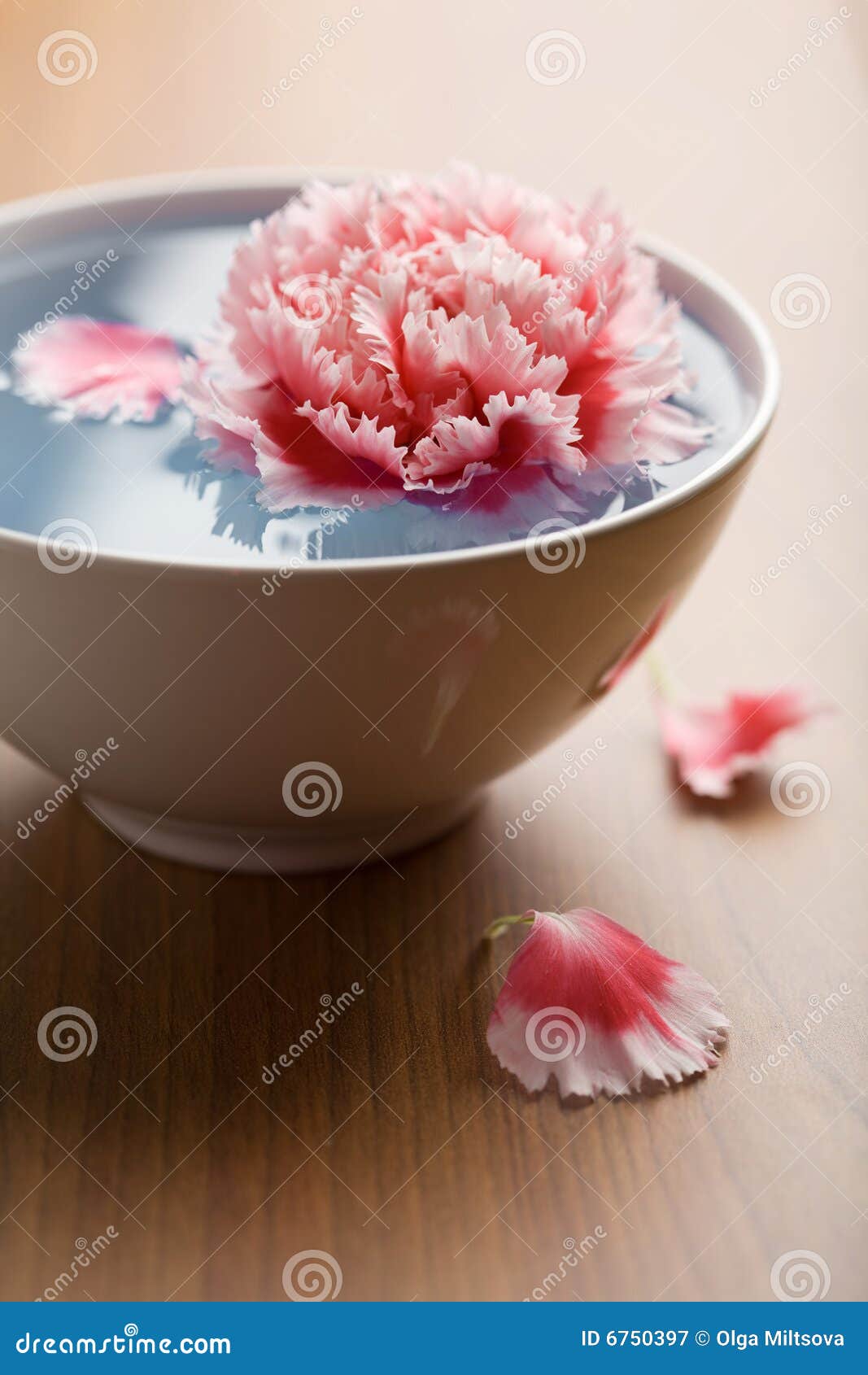 Flower Floating in White Bowl Stock Image - Image of bowl, aroma: 6750397