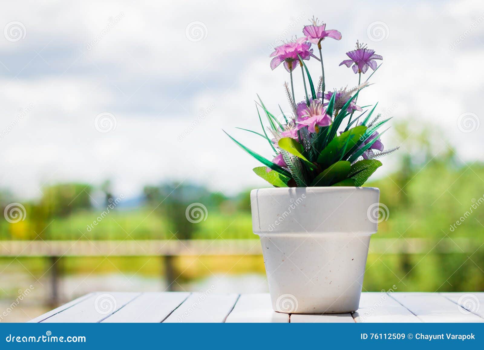 Flower in a Flower Pot on an White Table with Background Stock Image ...