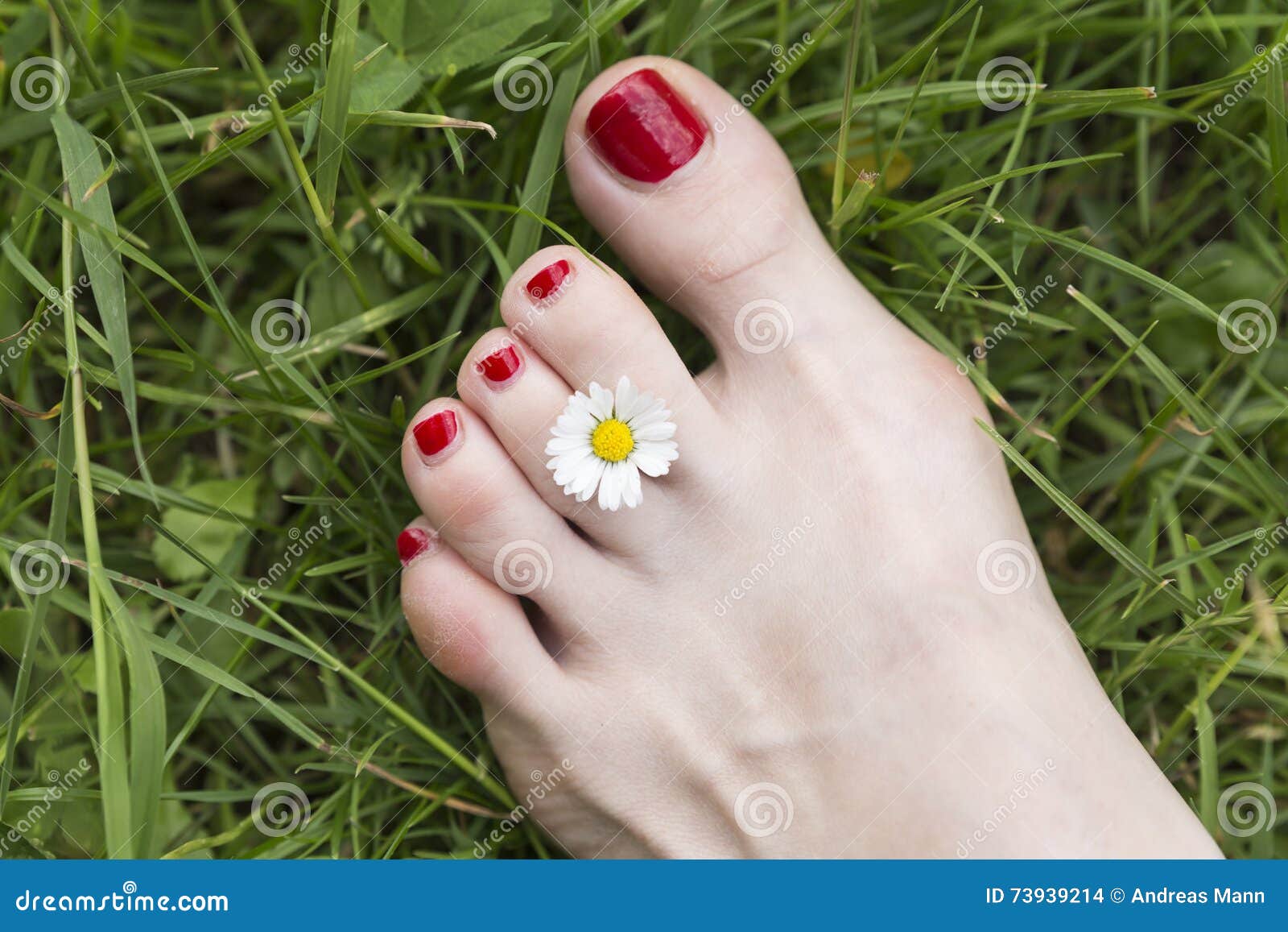 Flower_and_foot-1 fotografia stock. Immagine di bugia - 73939214