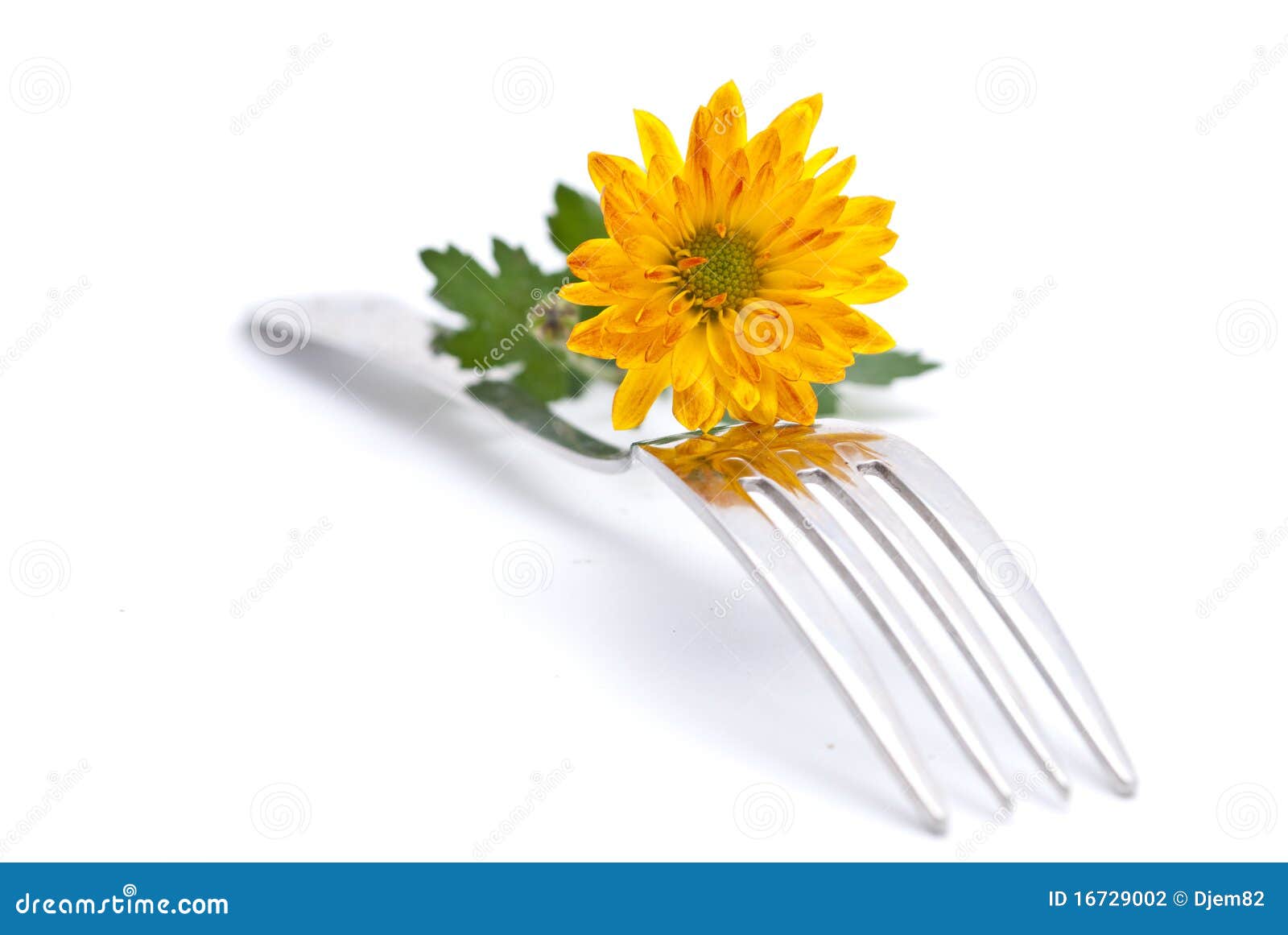 Flower and fork isolated stock photo. Image of isolated - 16729002
