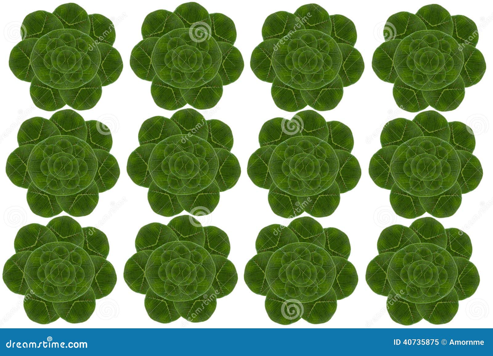 Flower form leaf stock image. Image of background, growth - 40735875