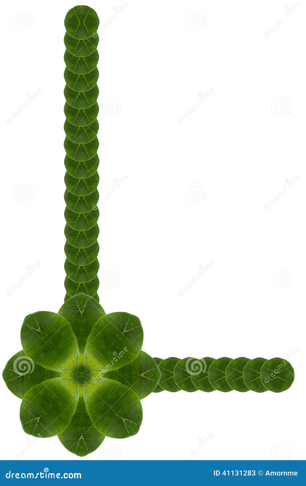 Flower form leaf stock image. Image of growth, change - 41131283