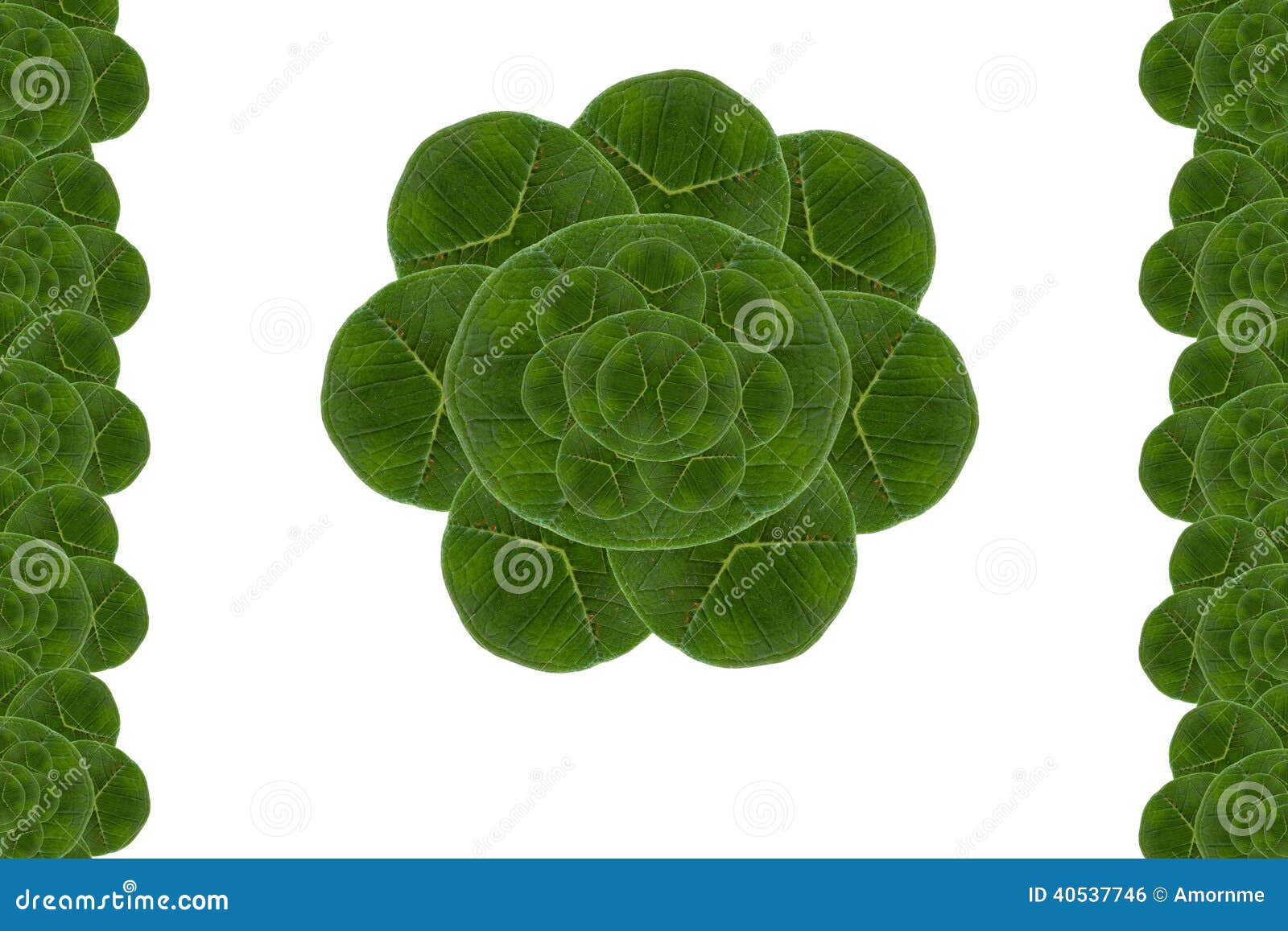 Flower form leaf stock photo. Image of foliage, creativity - 40537746