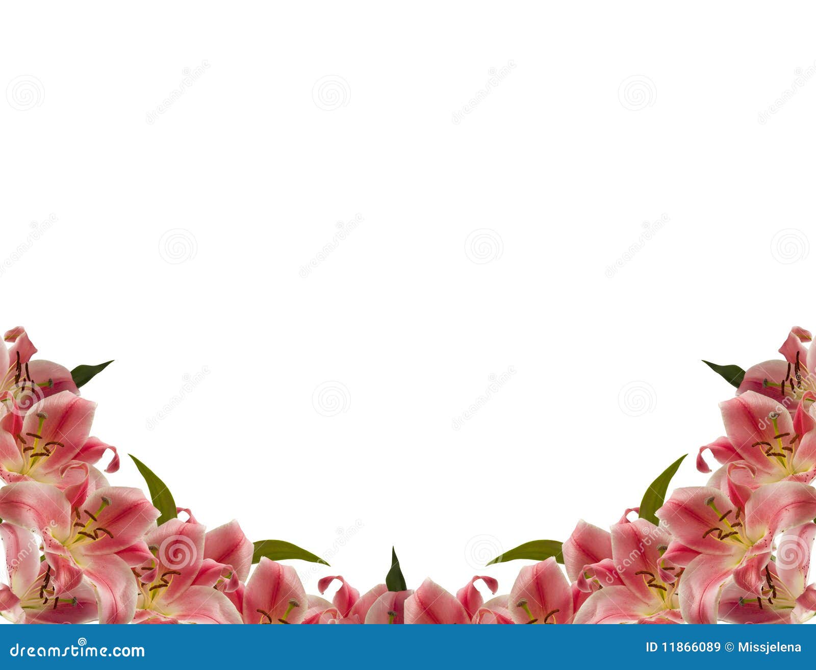 Flower frame stock image. Image of blossom, gardening - 11866089