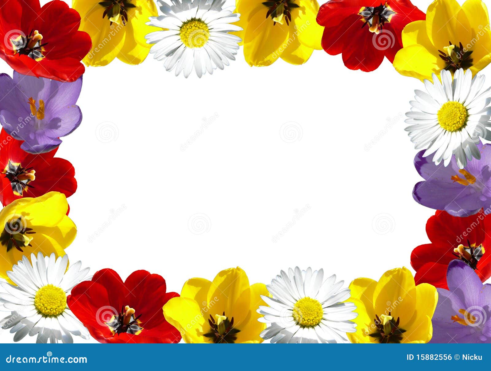 Flower frame stock photo. Image of garden, white, nature - 15882556