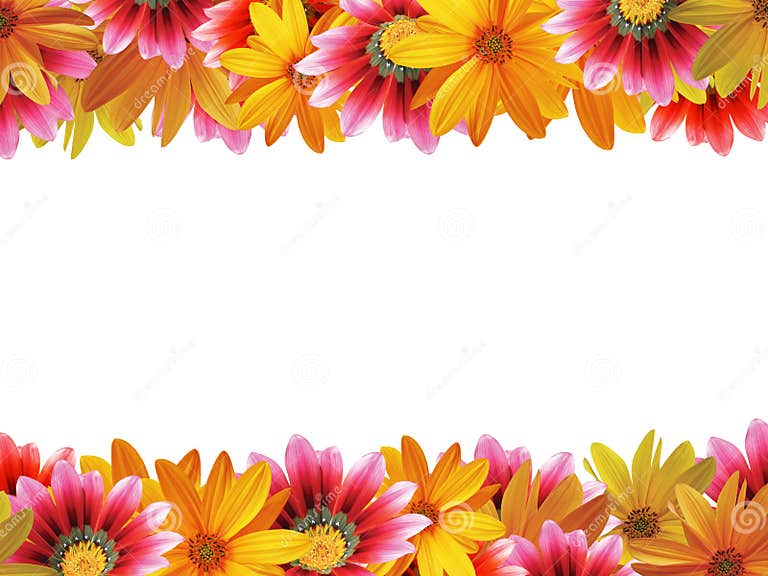 Flower frame 2 stock image. Image of finest, efflorescence - 2949847