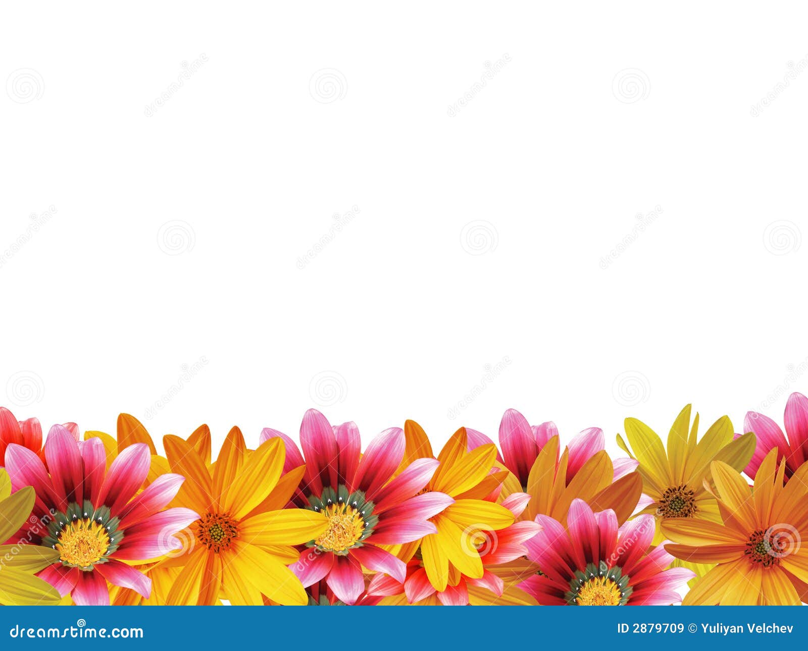 Flower frame stock image. Image of bloom, closeup, garden - 2879709
