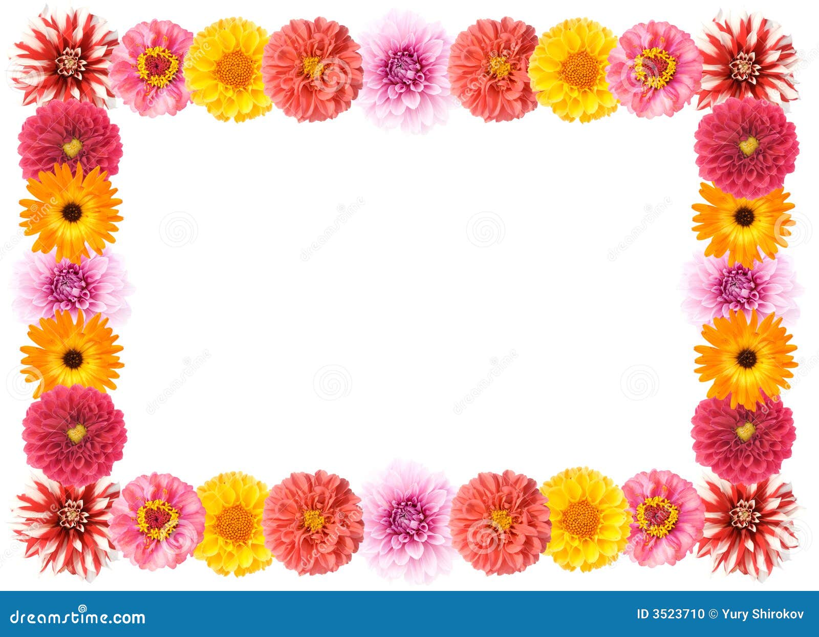 Flower frame stock photo. Image of macro, purple, rectangular - 3523710