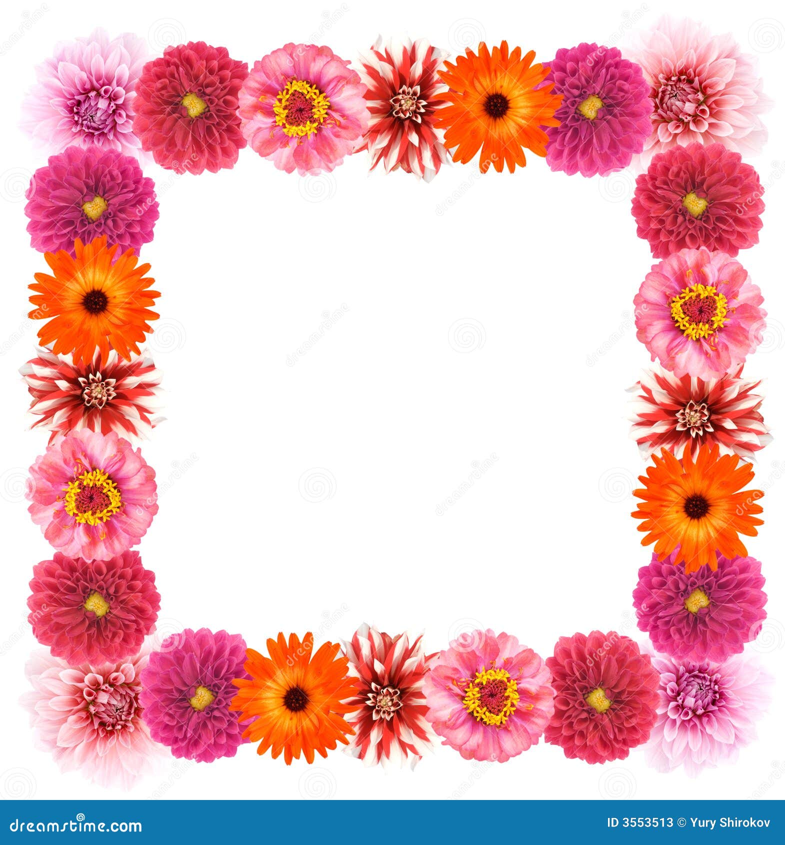 Flower frame stock image. Image of organic, summer, orange - 3553513